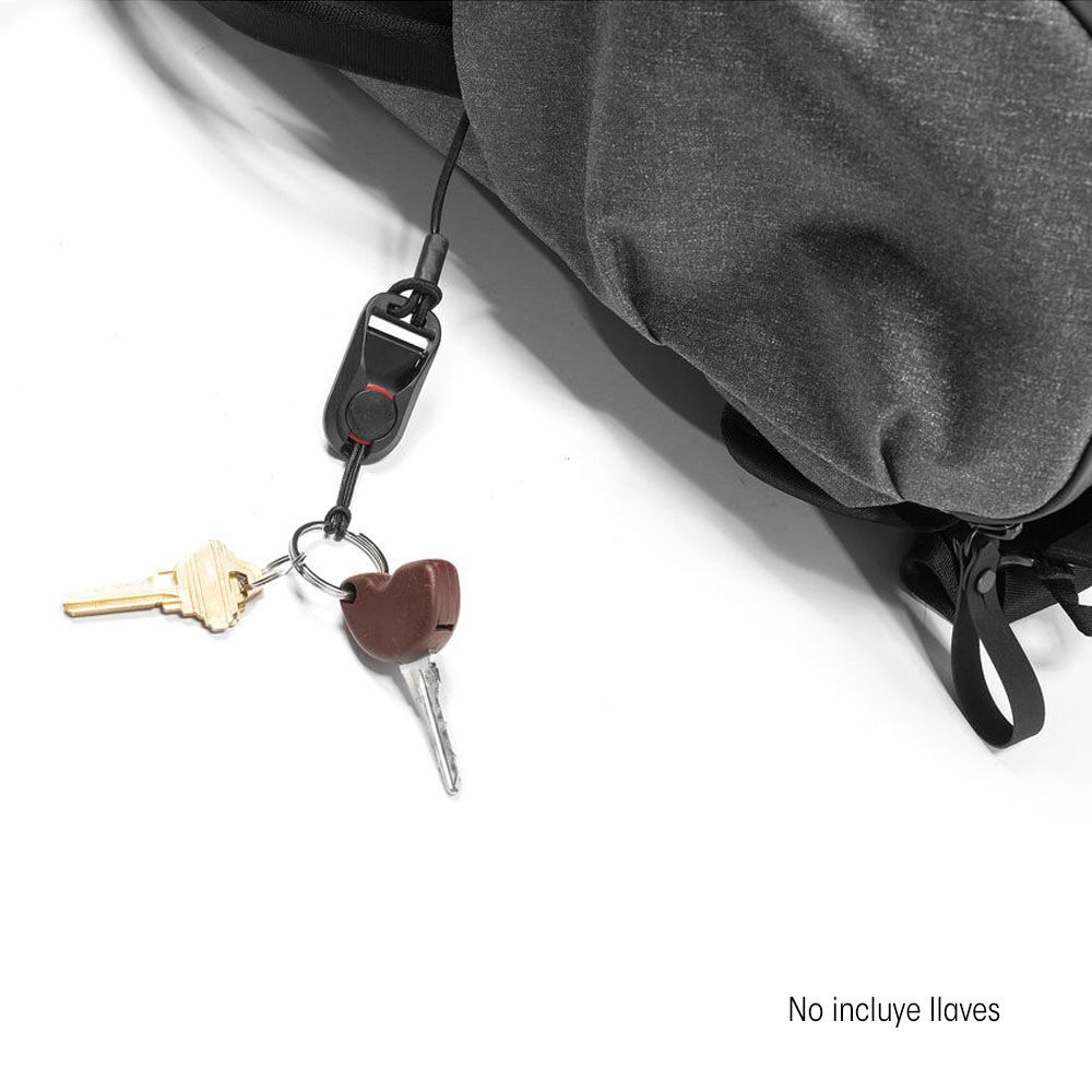 Mochila Backpack Everyday 20L Carbón V2.0 Peak Design – Profoto