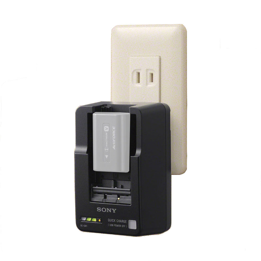Cargador Sony BC-QM1 de batería infoLITHIUM – Profoto
